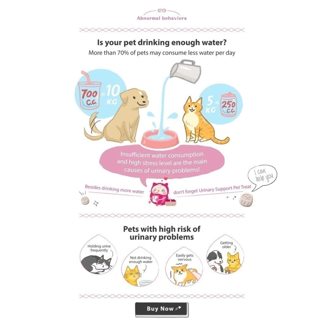 Maoup Urinary Support Health Treat (30 tablets) – Babyland SS2 Malaysia