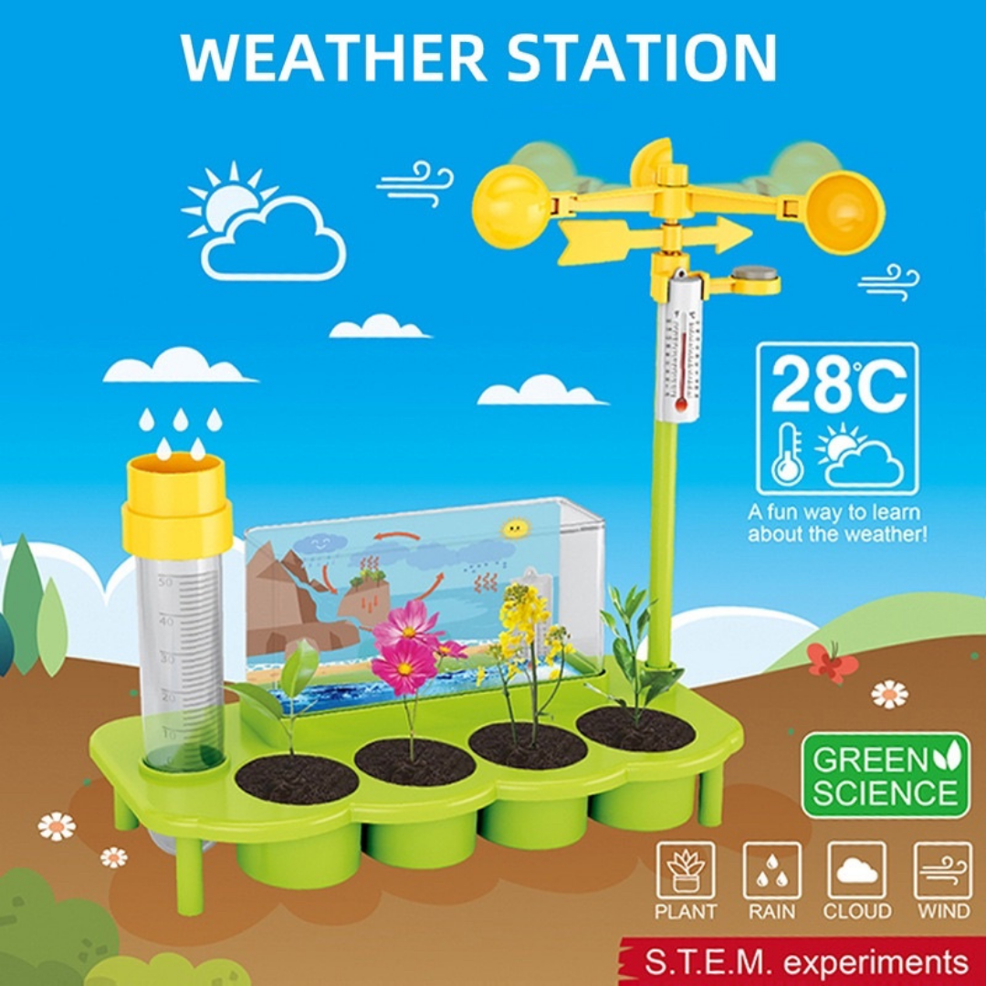 DAI Stem Weather Station (8Y+) – Babyland SS2 Malaysia