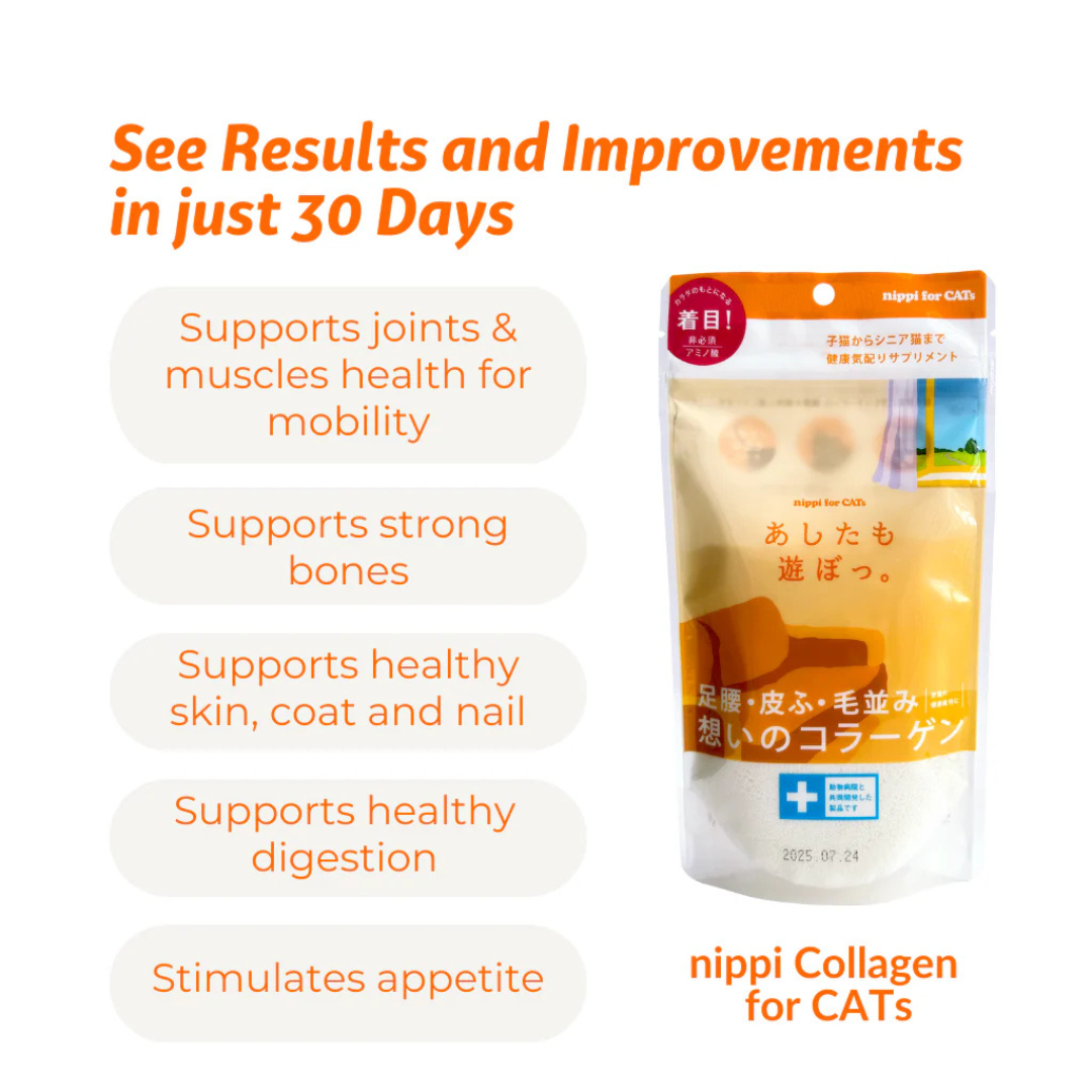 Nippi Collagen for Cats 40g – Babyland SS2 Malaysia