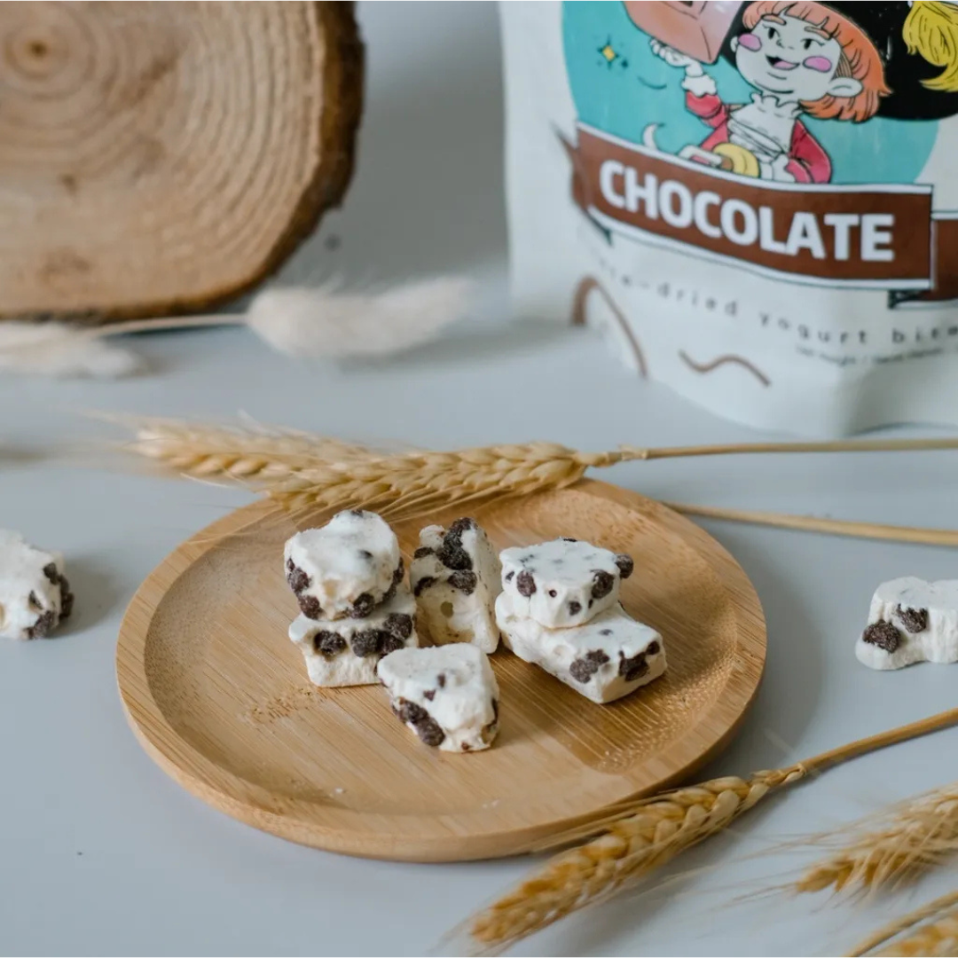 Hanya Freeze Dried Yogurt Bites 30g - Yogurt Chocolate – Babyland SS2 ...