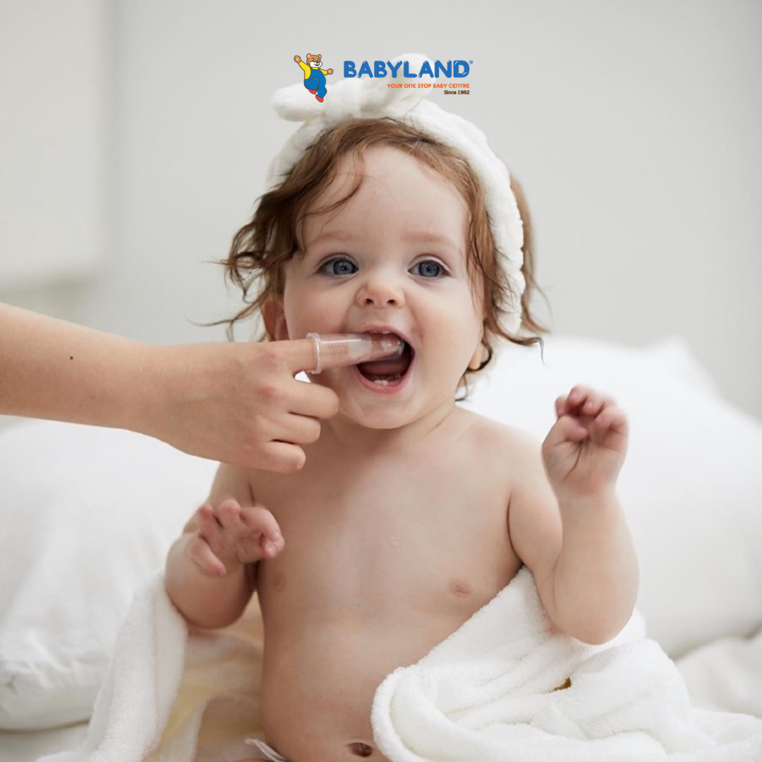 Babyjumi Silicone Finger Toothbrush – Babyland SS2 Malaysia